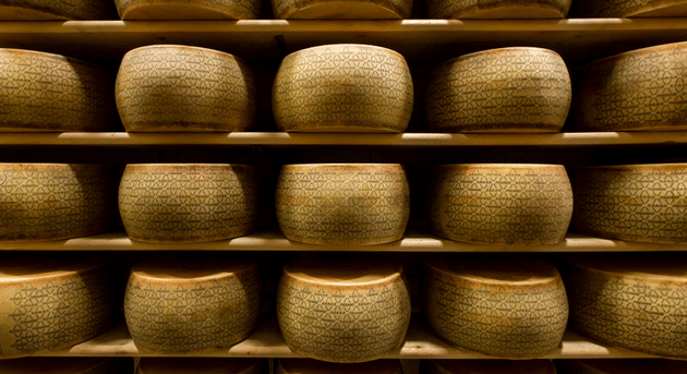 Grana Padano: no ai cibi sintetici, sì alla sostenibilità