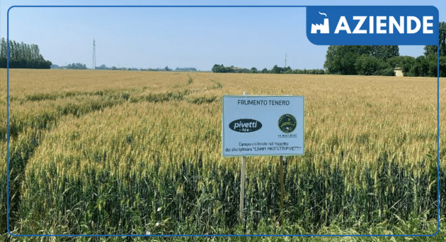 Molini Pivetti presenta la nuova sezione del proprio sito web